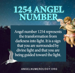 Angel Number 1254 Spiritual Meaning (Love, Twin Flame, Money) | Angel ...