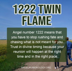Angel Number 1243 Meaning: Love, Money, & Twin Flame Matters ...