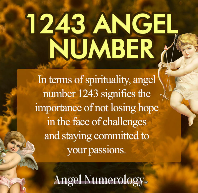 Angel Number 1243 Meaning: Love, Money, & Twin Flame Matters ...