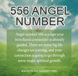Angel Number 556 Spiritual Meaning (Twin Flames, Money, Love ...